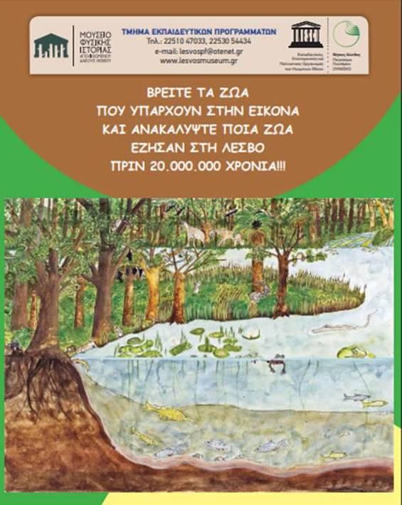 Μουσείο Φυσικής Ιστορίας Απολιθωμένου Δάσους: Εκπαιδευτικές ...