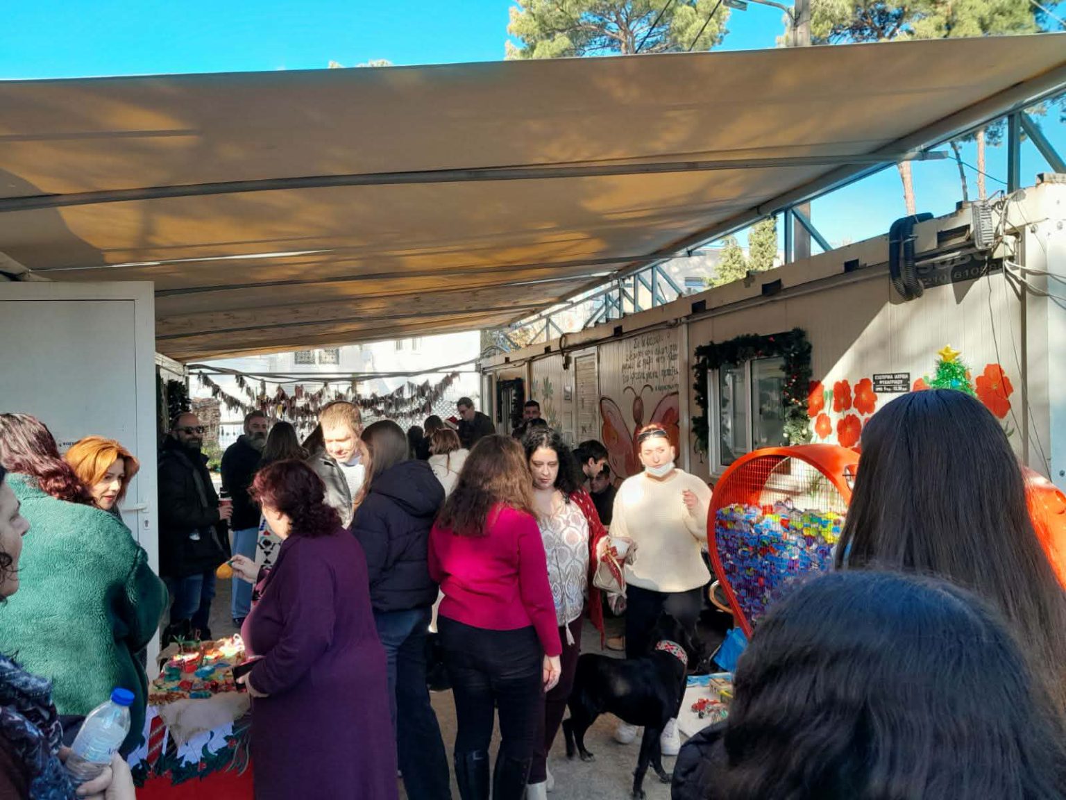 Κάλαντα, Δημιουργία και Αγάπη από το 2ο ΕΠΑ.Λ. στο Βοστάνειο – Γιορτινή ...